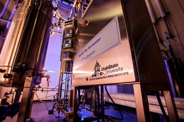 Synthetic spider silk, from lab to commercial operation | News, Sports ...